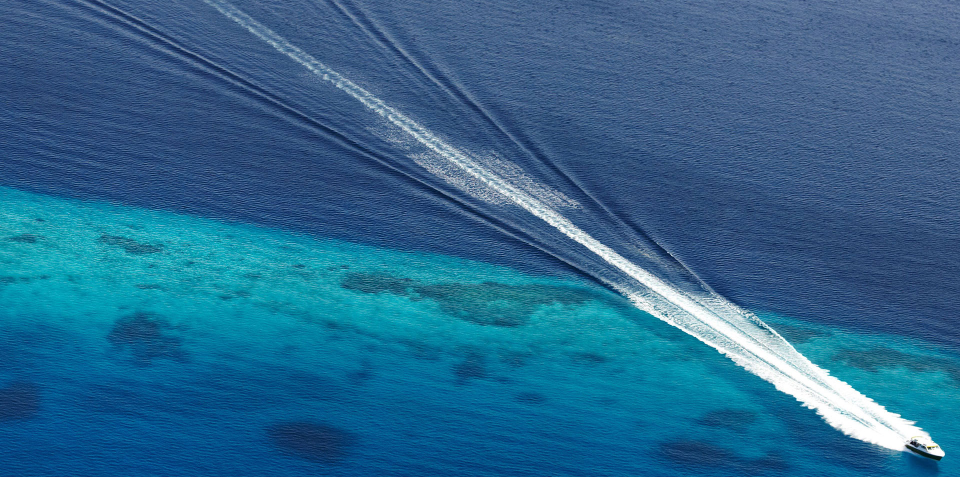 Wake Technology, Inc.